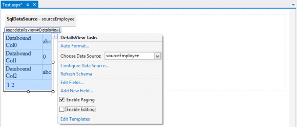 DetailsView Rich Data Control