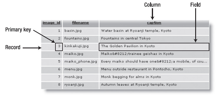 Primary Key and Foreign Key – Database Basics