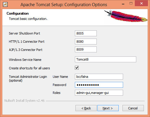 Tomcat Web Application Manager